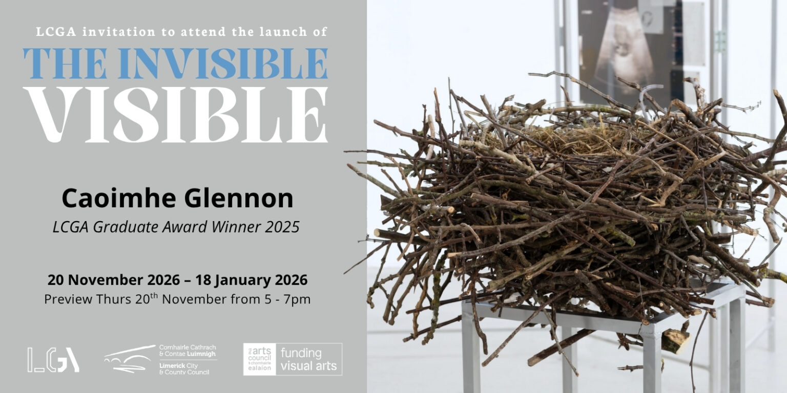 The Invisible Visible | Caoimhe Glennon at the Limerick City Gallery of ...
