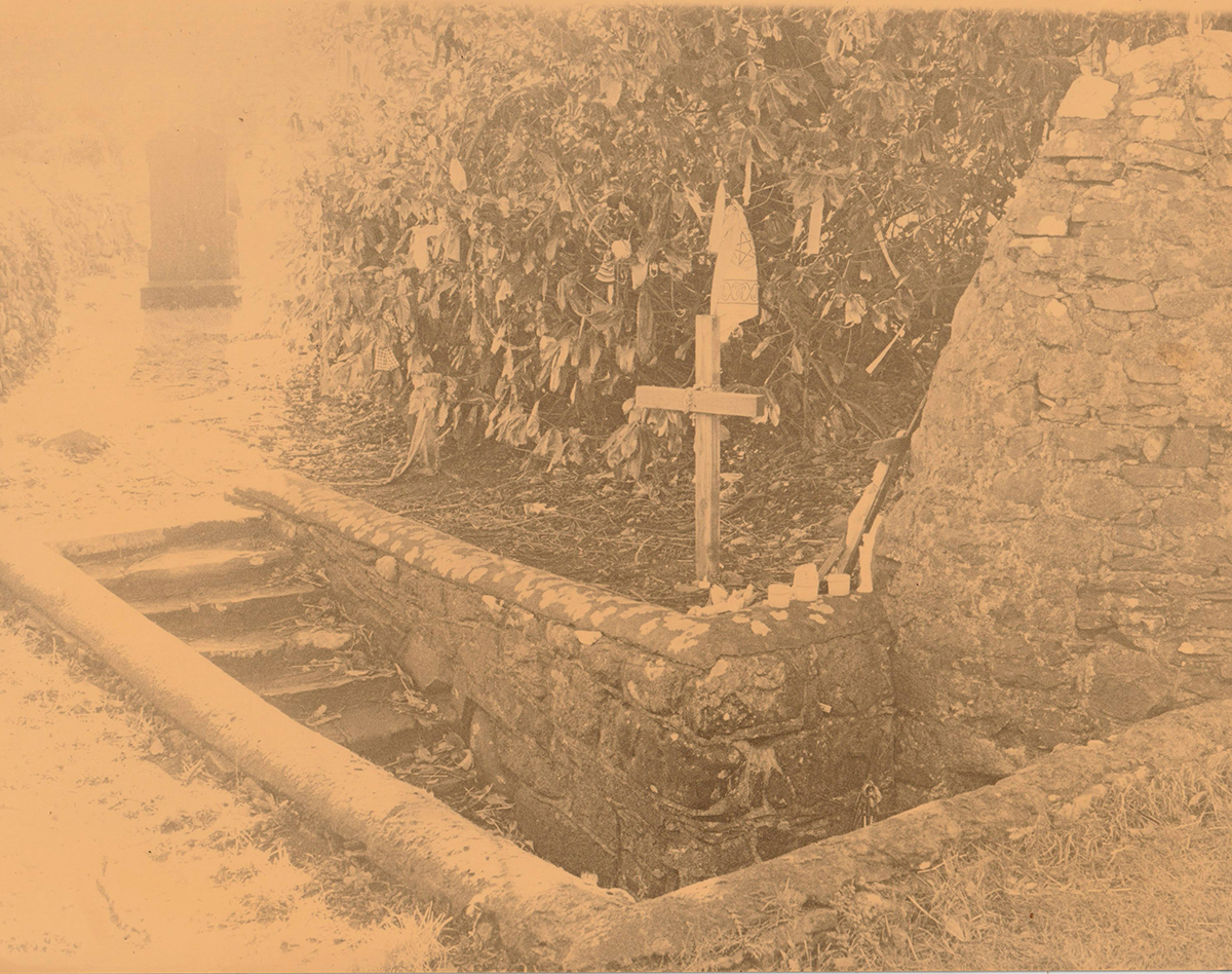 Workshop | Sustainable Photography Part 3 - Lumen Printing & Intro to ...