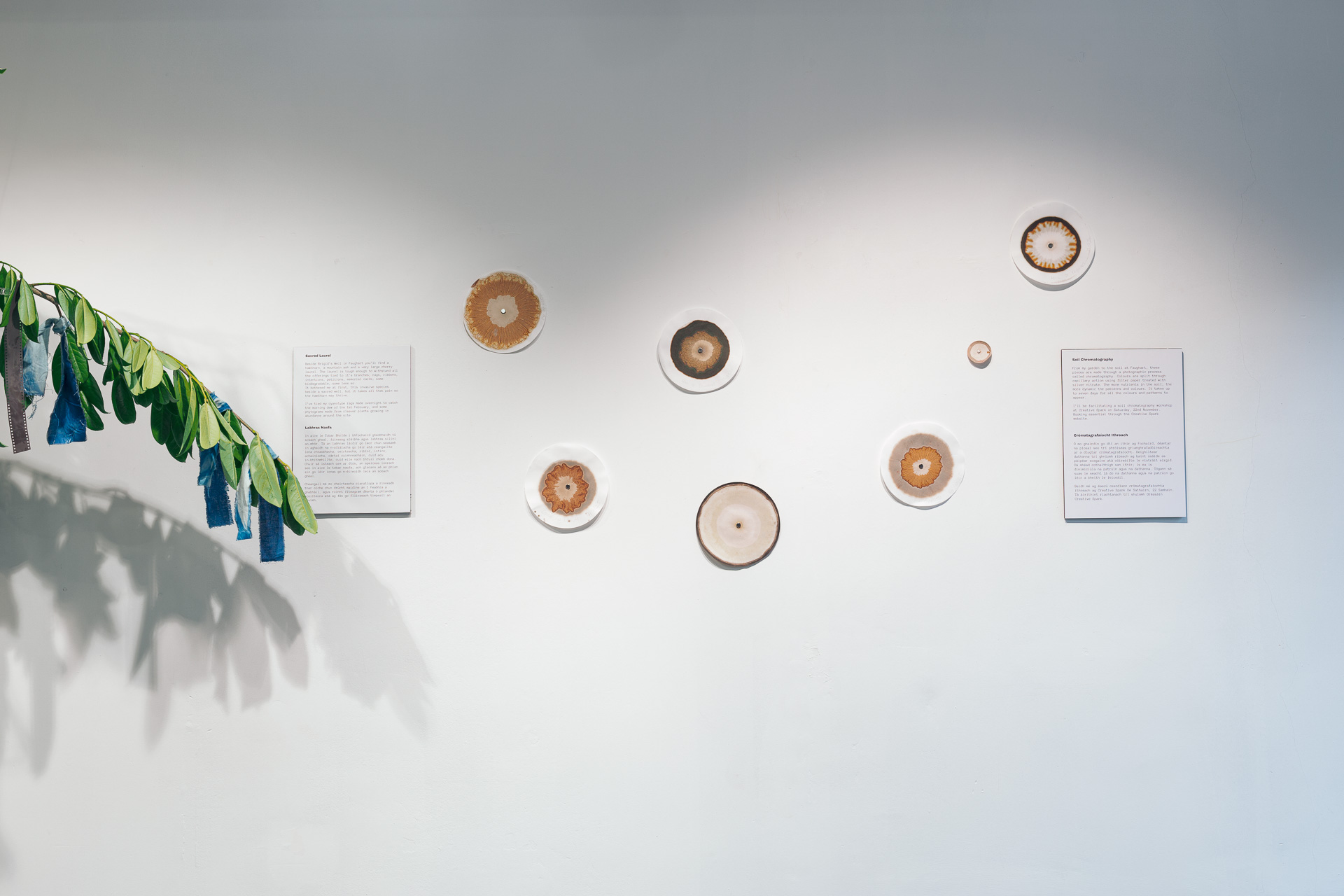 Workshop | Sustainable Photography Part 1 - Soil Chromatography with ...